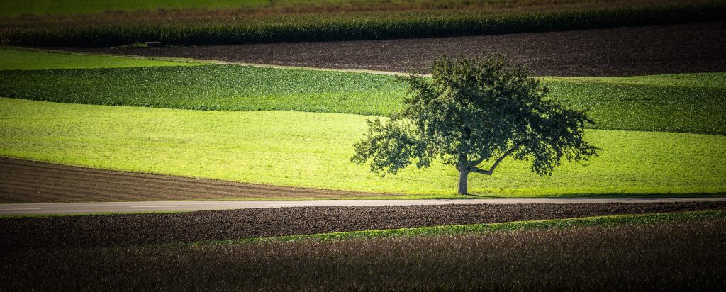 images-gratuites-libres-de-droits-sans-droits-d-auteur-165 - Neo Consulting images-gratuites-libres-de-droits-sans-droits-d-auteur-165 - Neo Consulting